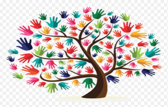 "La inclusión desde Constelaciones familiares, es una de las soluciones ...